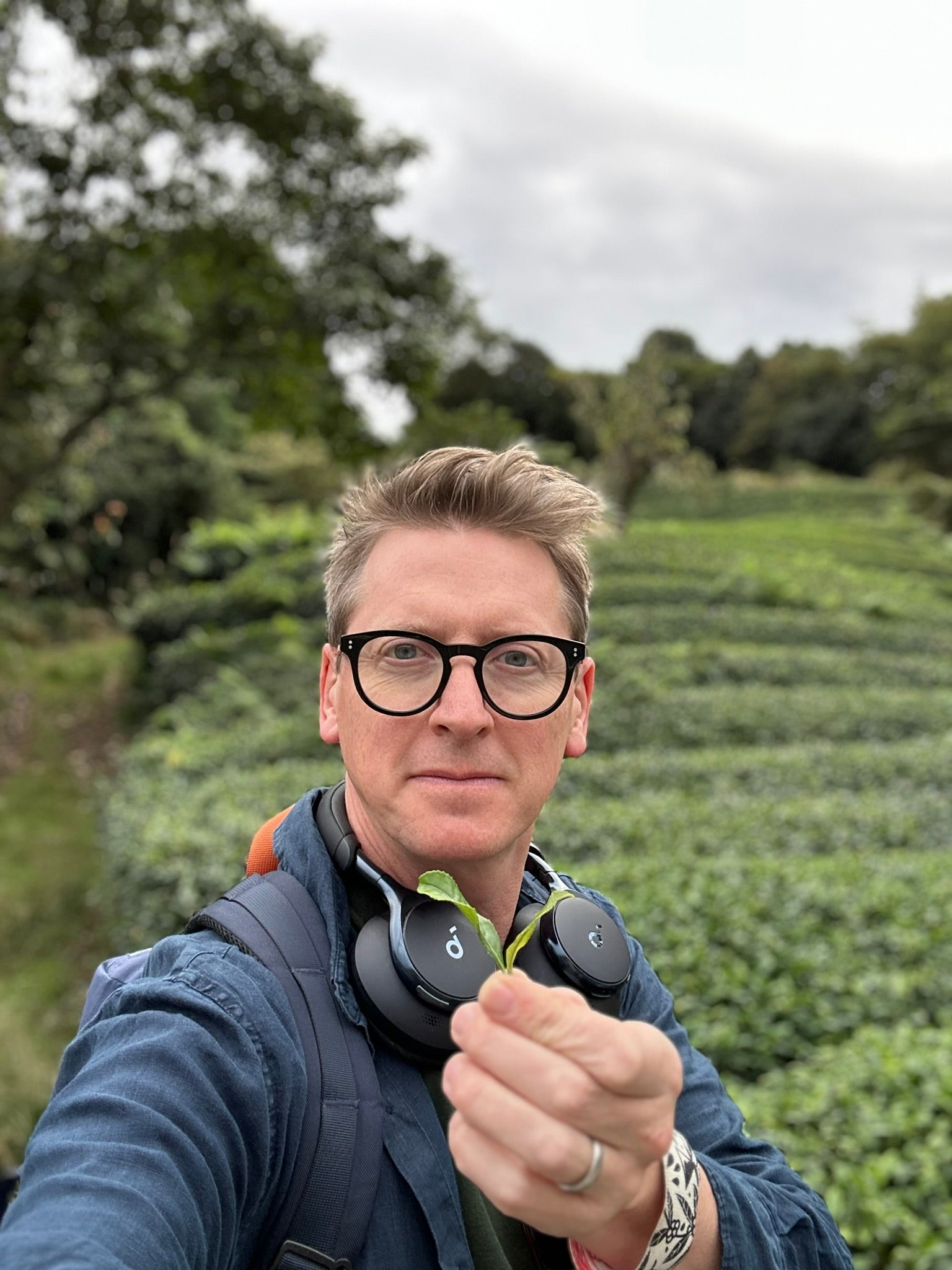🍵Japanese Diaries I Part 1 - Why Japan – Suki Tea