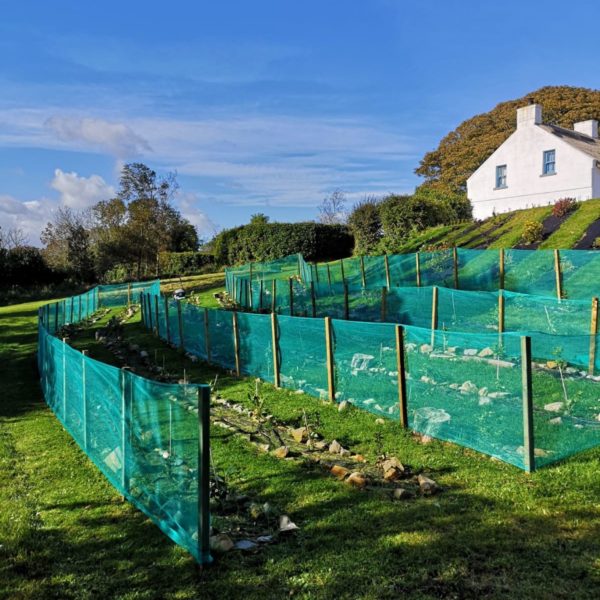 Suki Tea Makers | Loose Leaf Tea | Plastic Free Tea